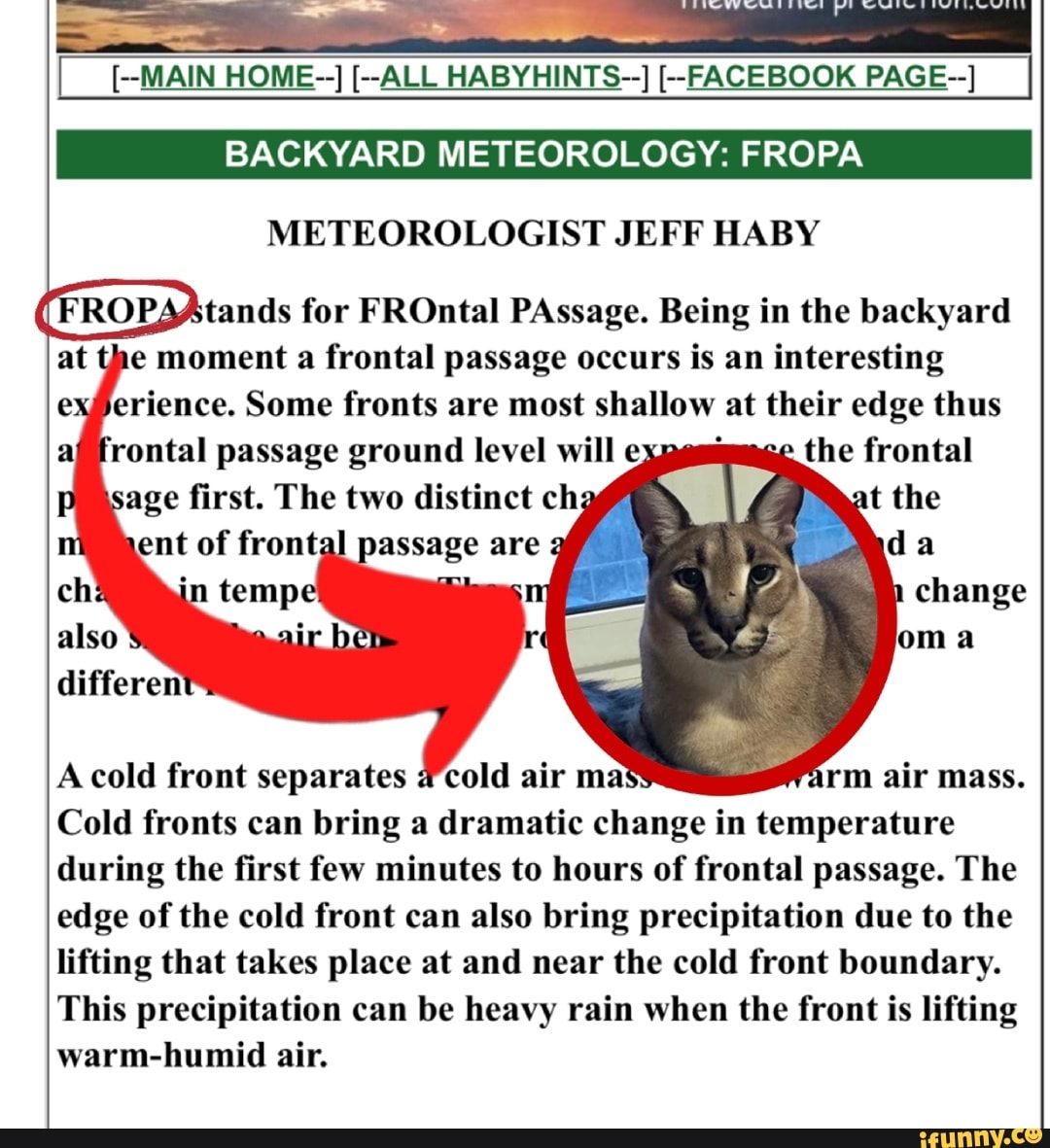 Habyhints memes. Best Collection of funny Habyhints pictures on iFunny