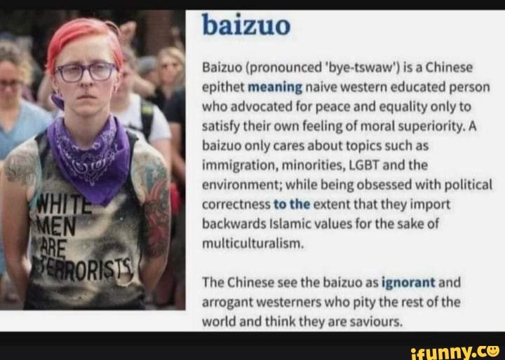 Baizuo Baizuo (pronounced 'bye is a Chinese epithet meaning naive ...