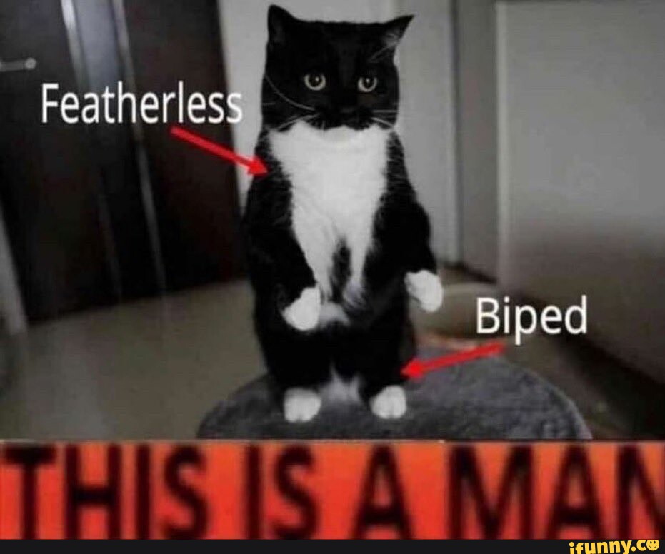Featherless Biped - iFunny