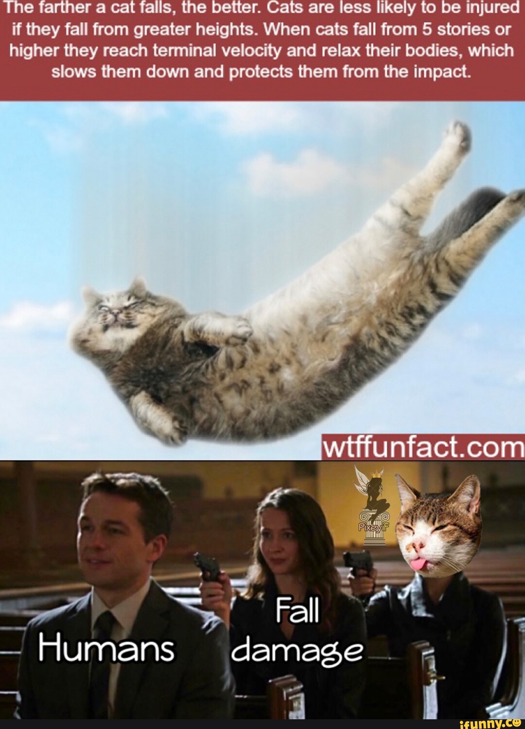 The farther a cat falls, the better. Cats are less likely to be injured ...