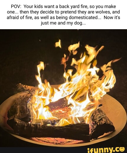 Domesticated memes. Best Collection of funny Domesticated pictures on ...