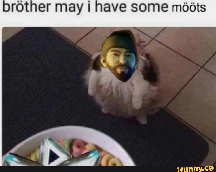 Moots memes. Best Collection of funny Moots pictures on iFunny