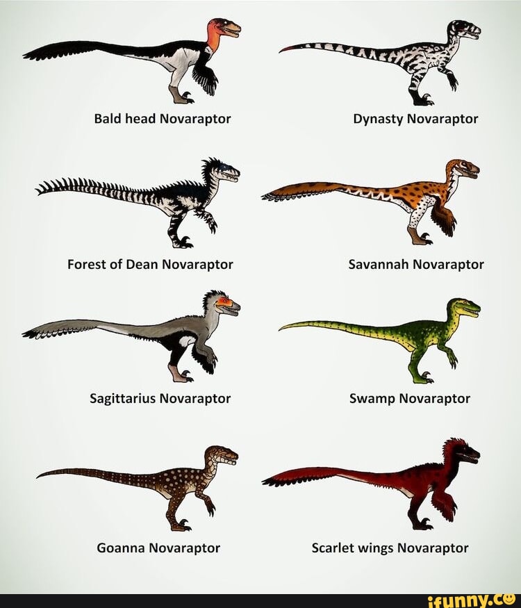 Dean memes. Best Collection of funny Dean pictures on iFunny