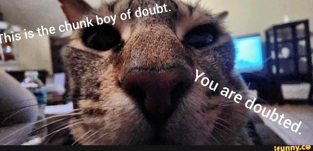 His the chunk BOY of doubt. - iFunny