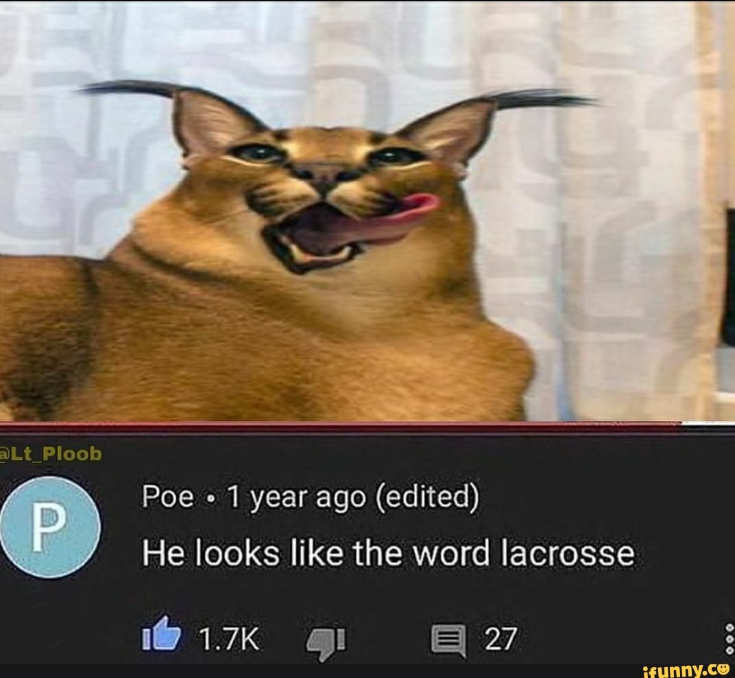 Ploo memes. Best Collection of funny Ploo pictures on iFunny