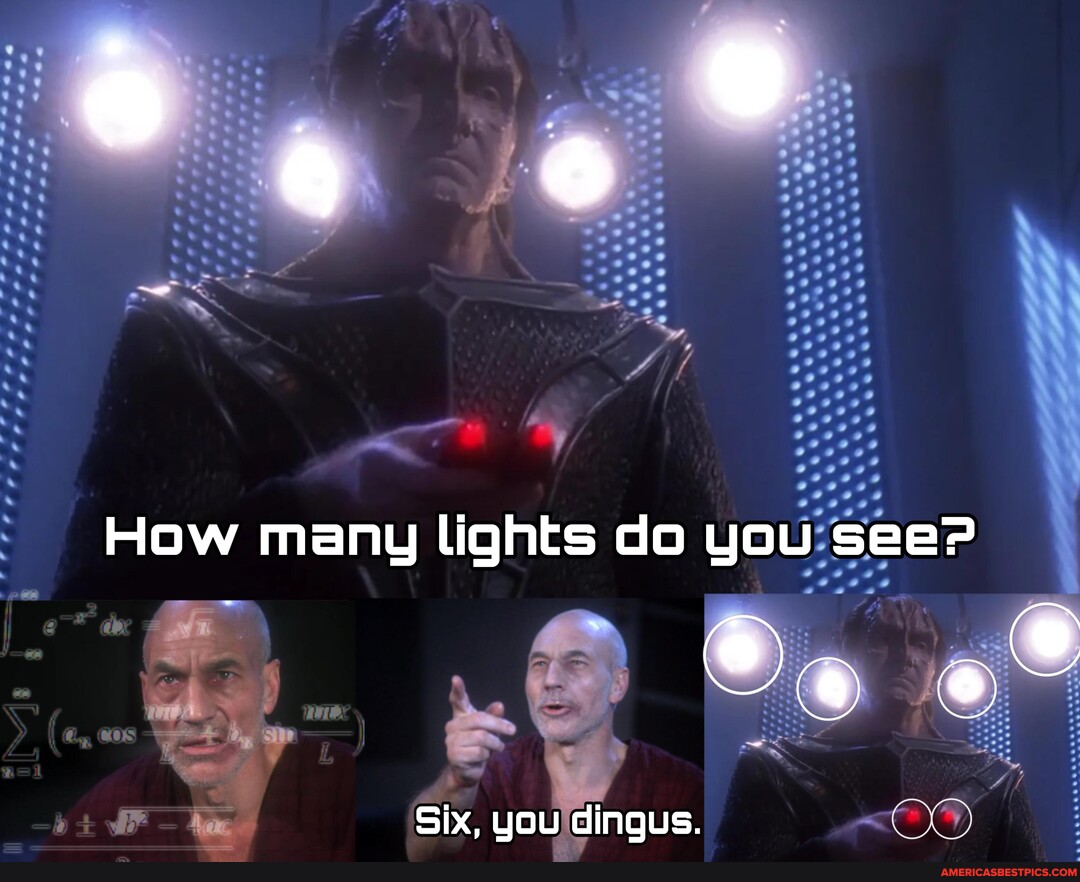 How many lights do you see? Six, you dingus. - America’s best pics and ...