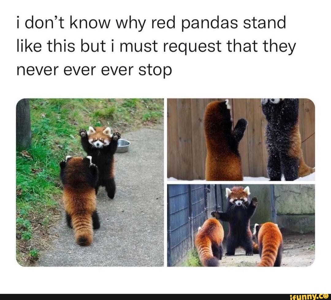 Picture memes hDL8CeAA7 by Joker_Cringe: 0.9K comments - )