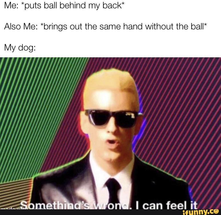 Me: *puts ball behind my back* Also Me: *brings out the same hand ...