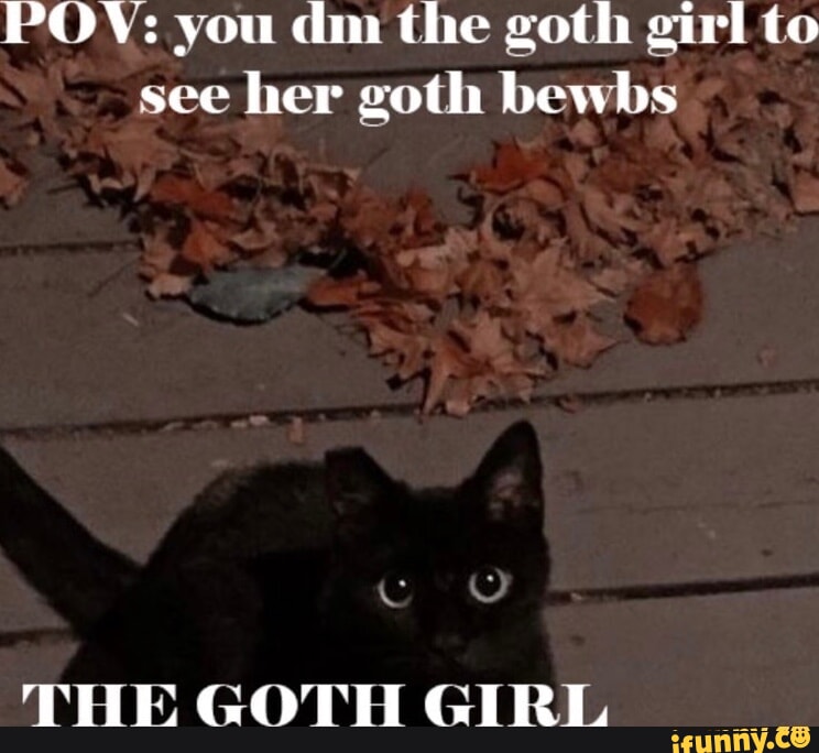 POV: you dim the goth girl to see her goth bewbs THE GOTH GIRL - iFunny