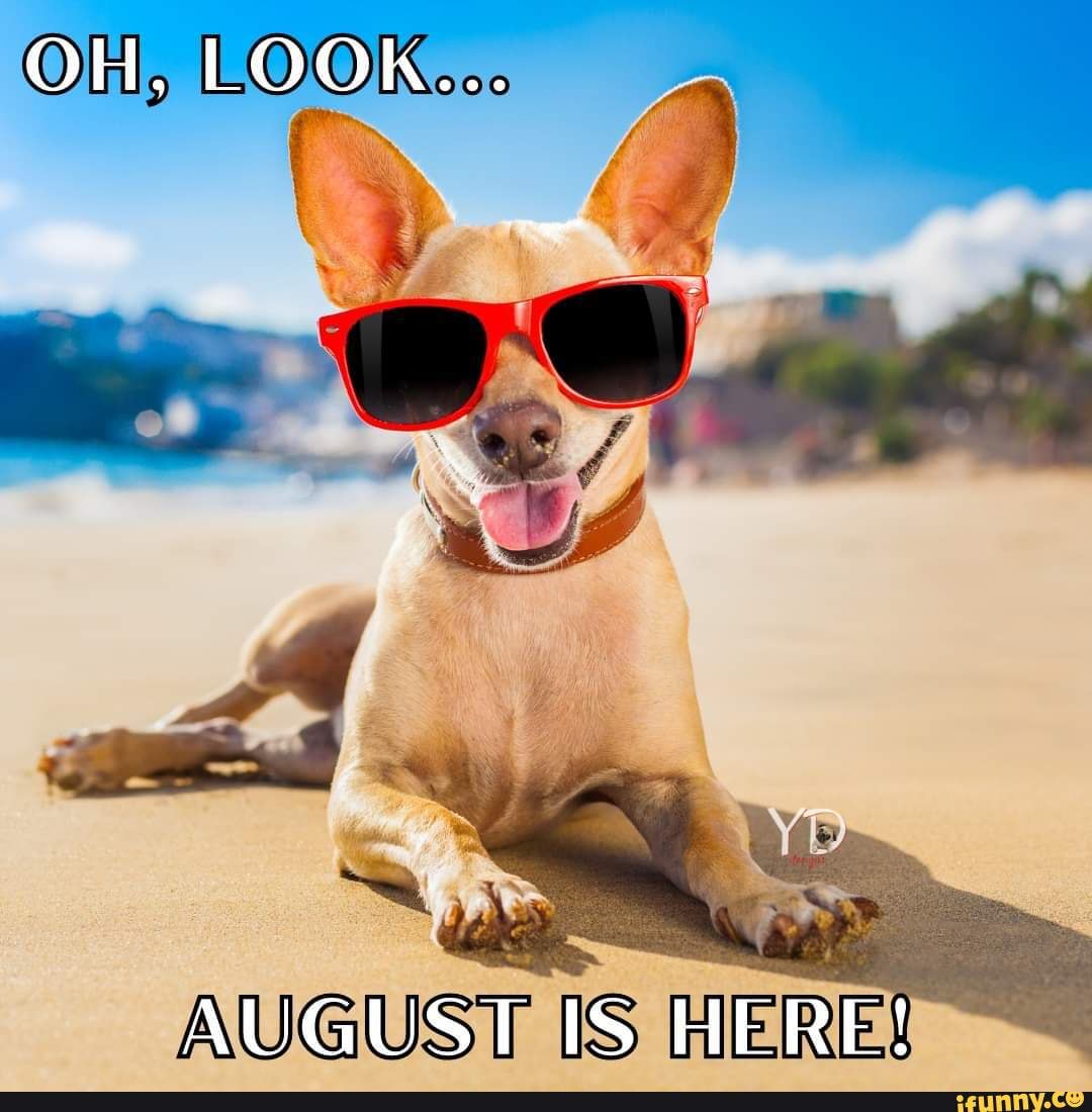 Oh, Look... August is here! - OH, LOOK... AUGUST IS HERE! - iFunny