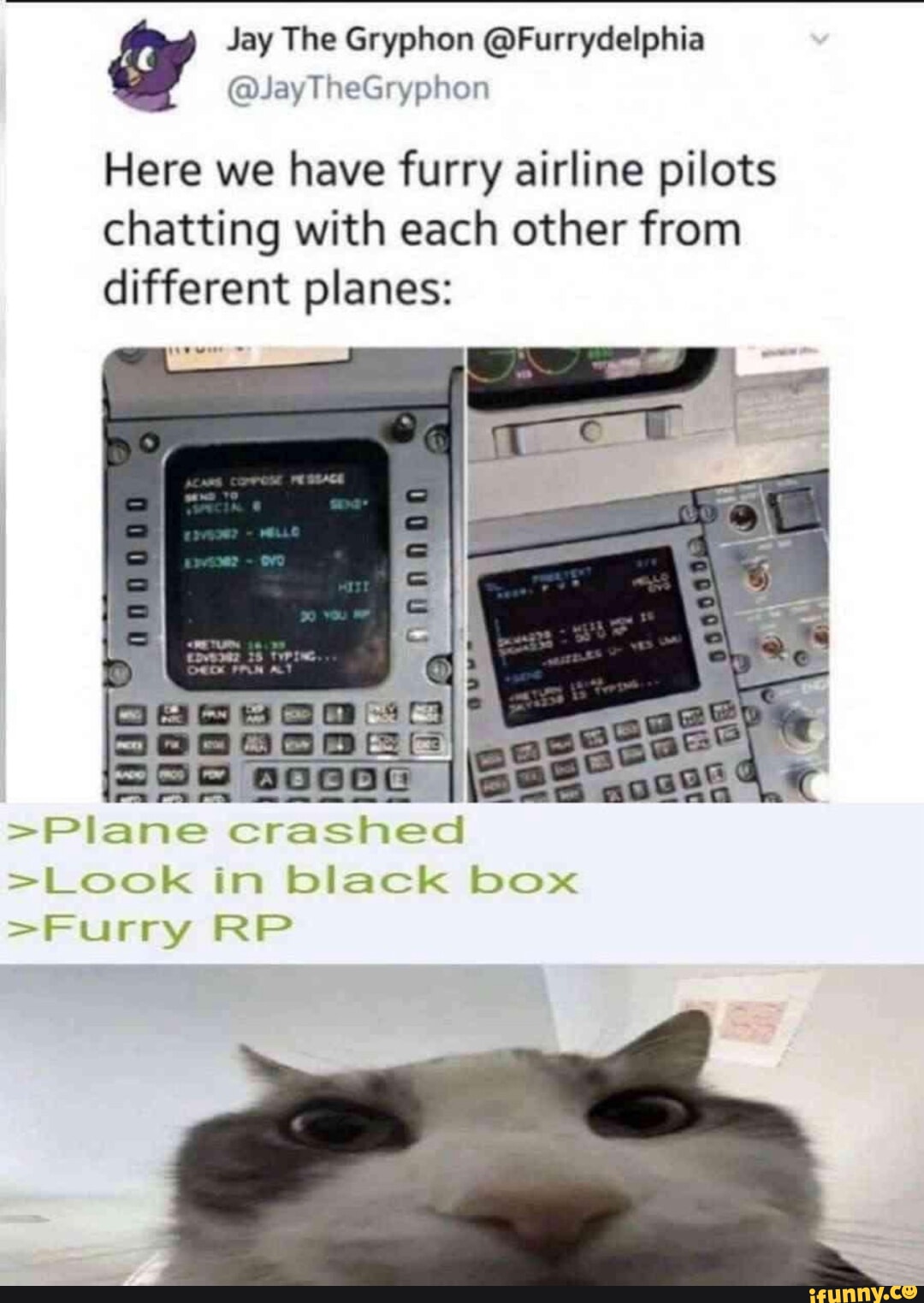 Furries memes memes. The best memes on iFunny