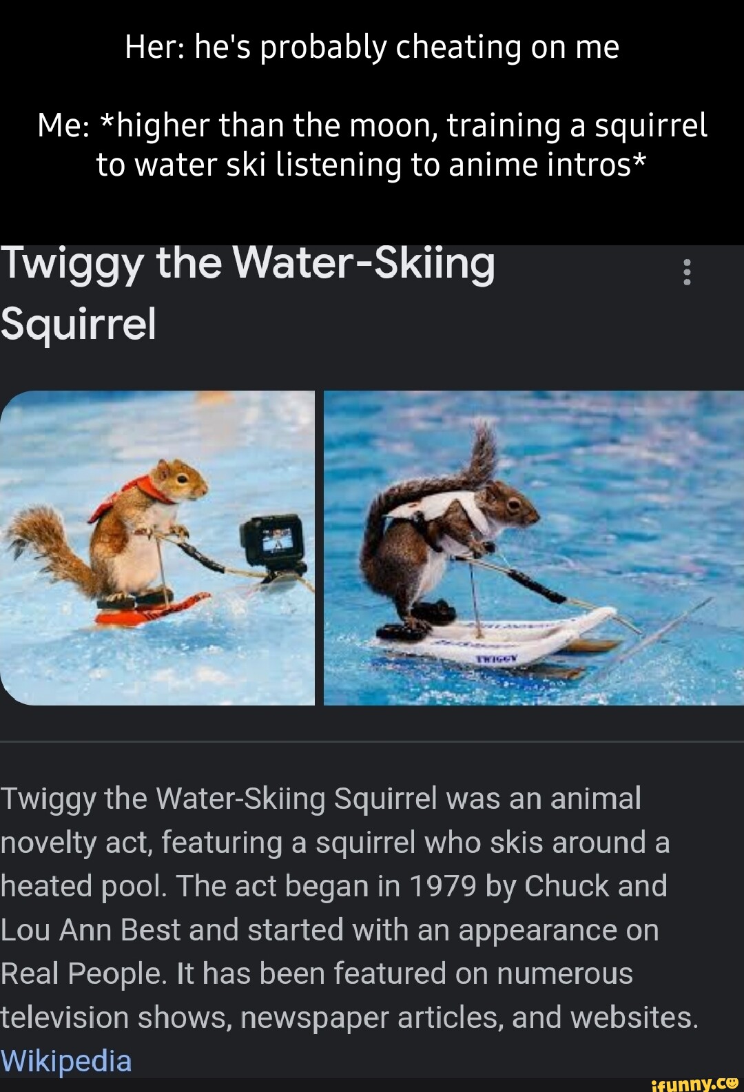 Skis memes. Best Collection of funny Skis pictures on iFunny