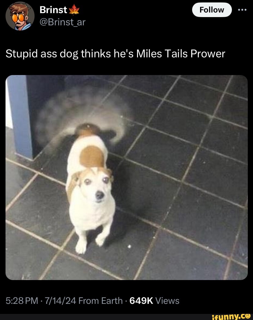 Follow Brinst Stupid ass dog thinks he's Miles Tails Prower PM - From Earth 649K Views - iFunny