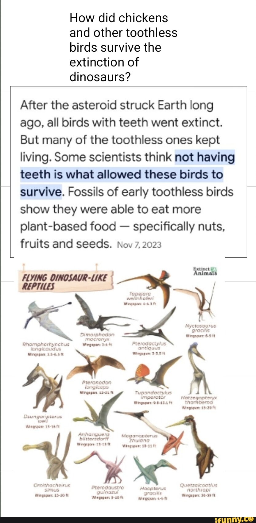How did chickens and other toothless birds survive the extinction of dinosaurs? After the ...