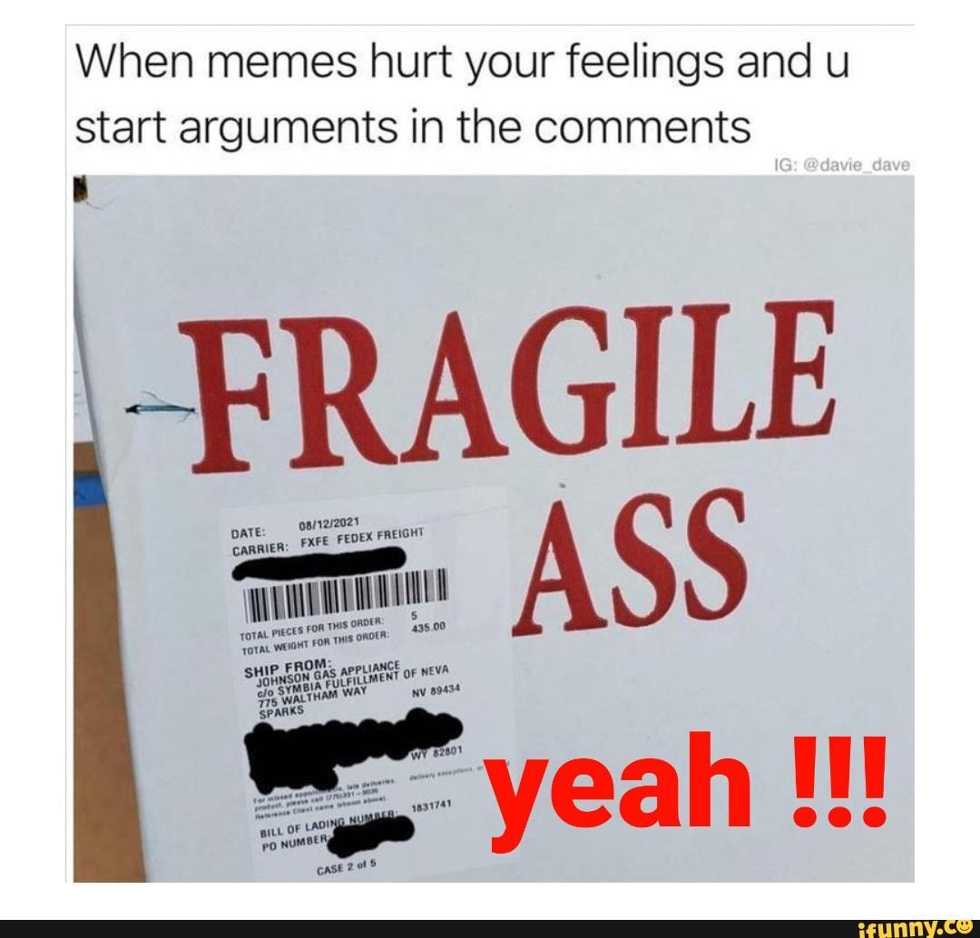 When memes hurt your feelings and u start arguments in the comments F ...