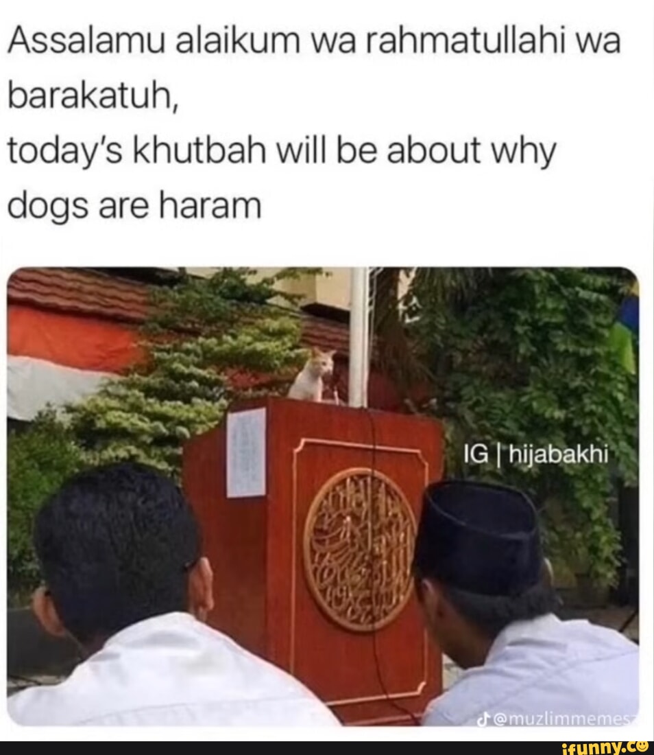 Halal Haram Memes