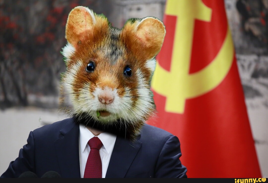 Grom memes. Best Collection of funny Grom pictures on iFunny