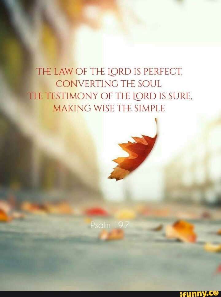 THe LAW OF TH: LORD IS PERFECT, CONVERTING THE SOUL THE TESTIMONY OF ...
