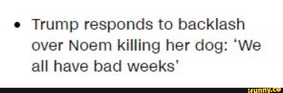 Noem memes. Best Collection of funny Noem pictures on iFunny