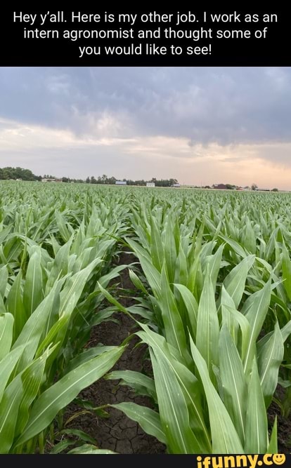 Agronomist memes. Best Collection of funny Agronomist pictures on iFunny