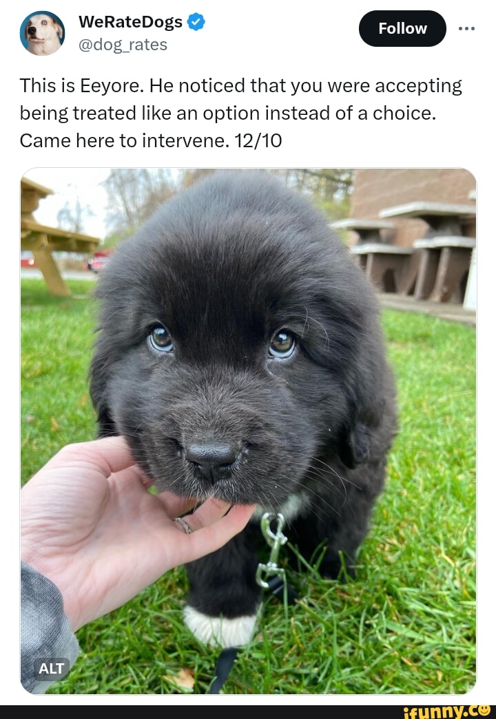 Eeyore memes. Best Collection of funny Eeyore pictures on iFunny