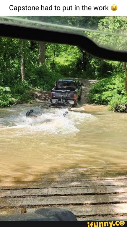 Capstone memes. Best Collection of funny Capstone pictures on iFunny