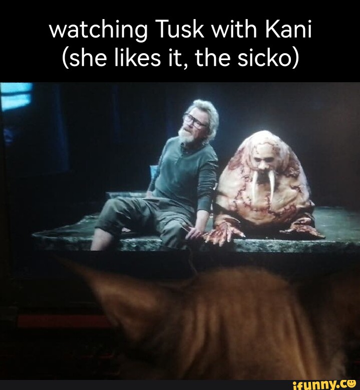 Tusk memes. Best Collection of funny Tusk pictures on iFunny