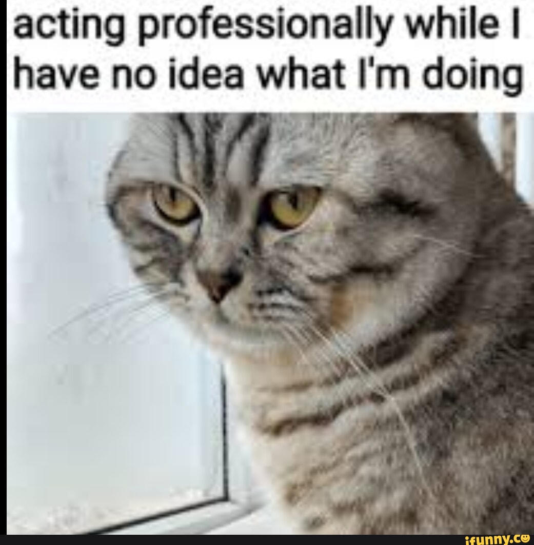 Professionally memes. Best Collection of funny Professionally pictures ...