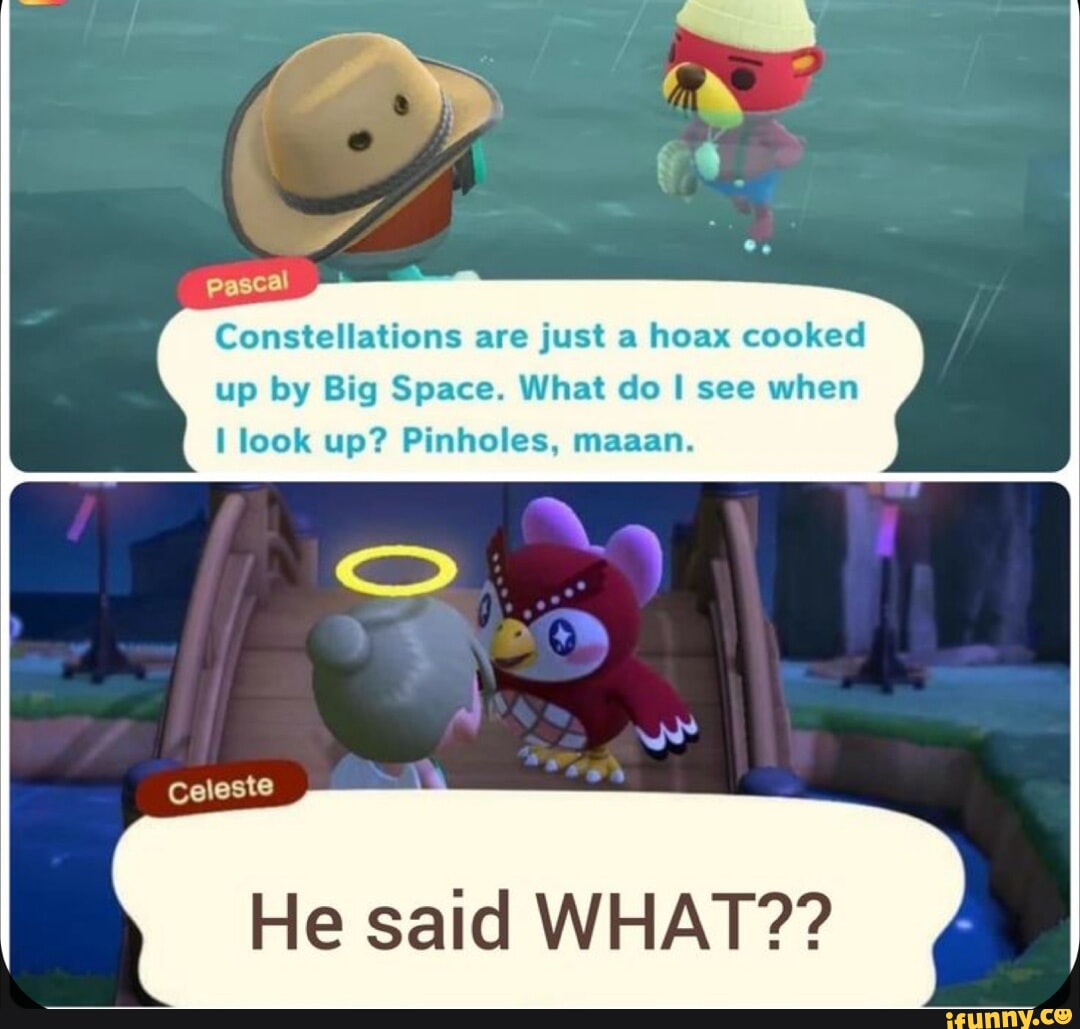 Constellations memes. Best Collection of funny Constellations pictures ...