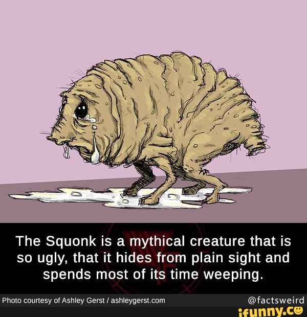 The Squonk is a mythical creature that is so ugly. that it hides from ...