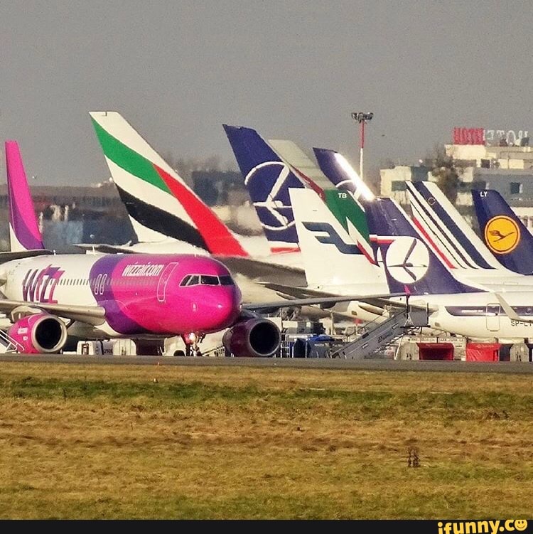 Wizzair memes. Best Collection of funny Wizzair pictures on iFunny