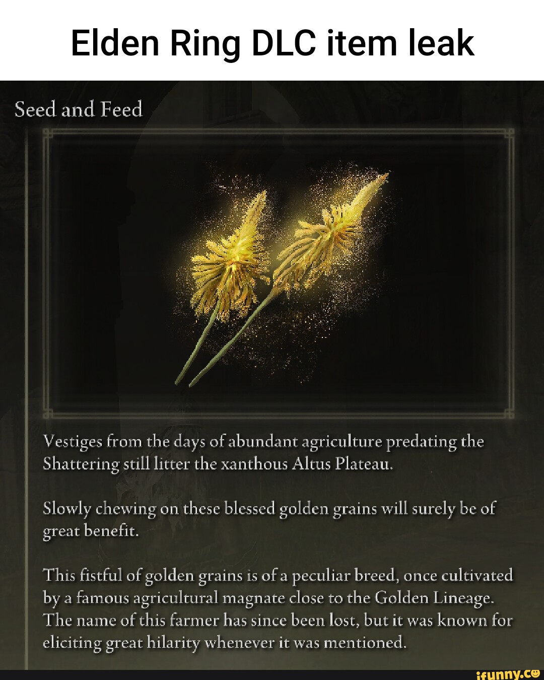Elden Ring DLC item leak Seed and Feed Vestiges from the days of ...