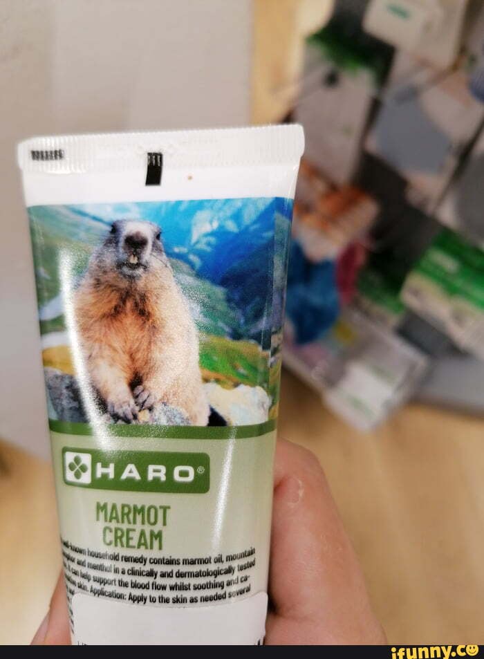Marmot memes. Best Collection of funny Marmot pictures on iFunny