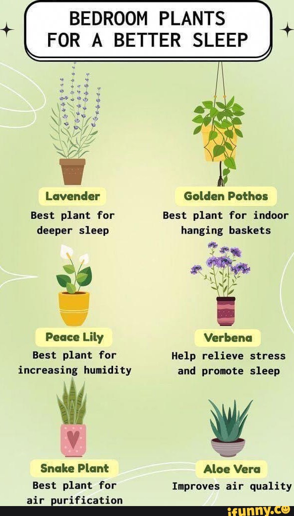 Purification memes. Best Collection of funny Purification pictures on ...