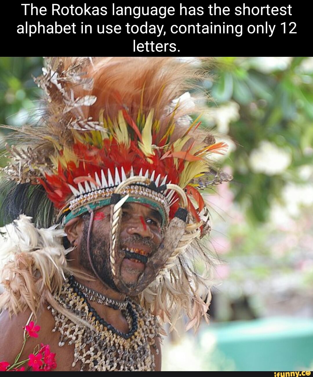 The Rotokas language has the shortest alphabet in use today, containing ...