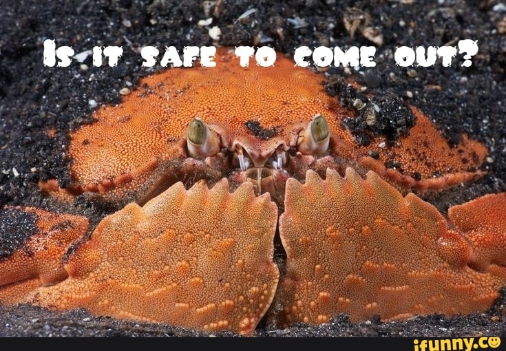 Tome memes. Best Collection of funny Tome pictures on iFunny