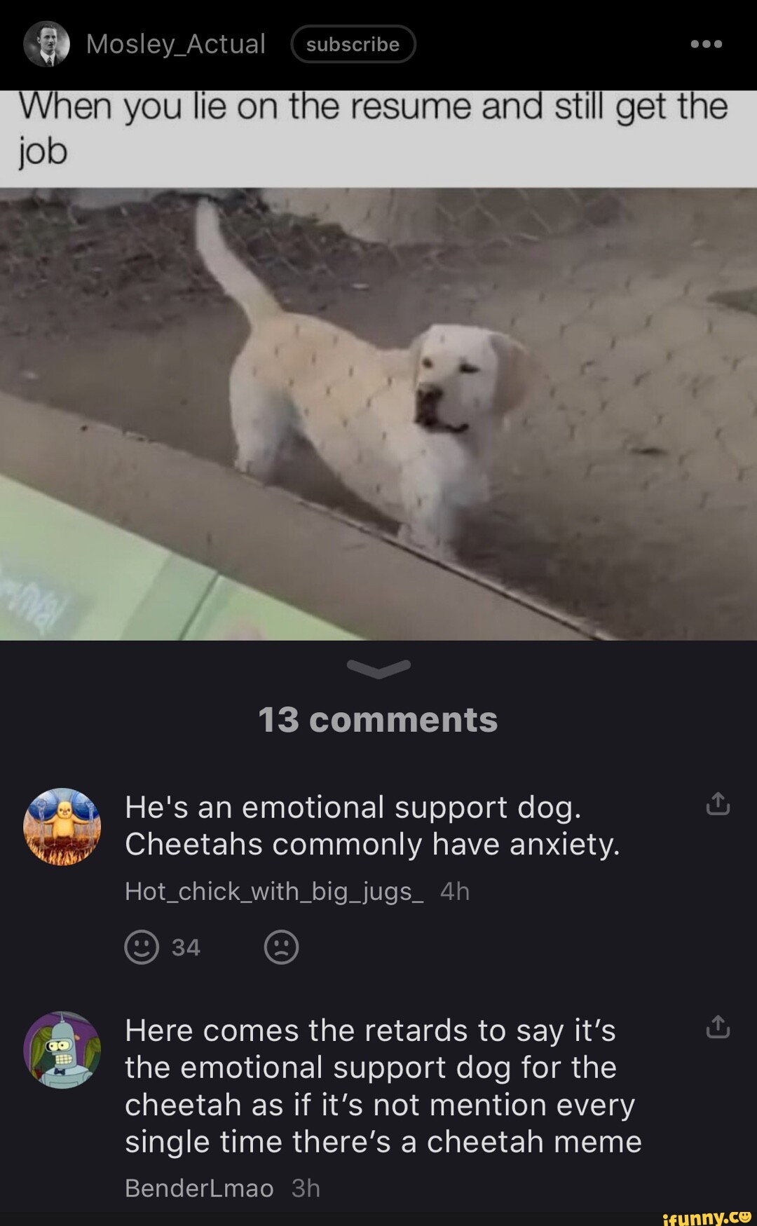 Mosley_Actual subscribe 000 you lie on the resume and still get the job ...