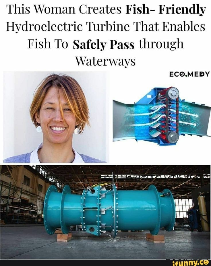 This Woman Creates Fish- Friendly Hydroelectric Turbine That Enables ...