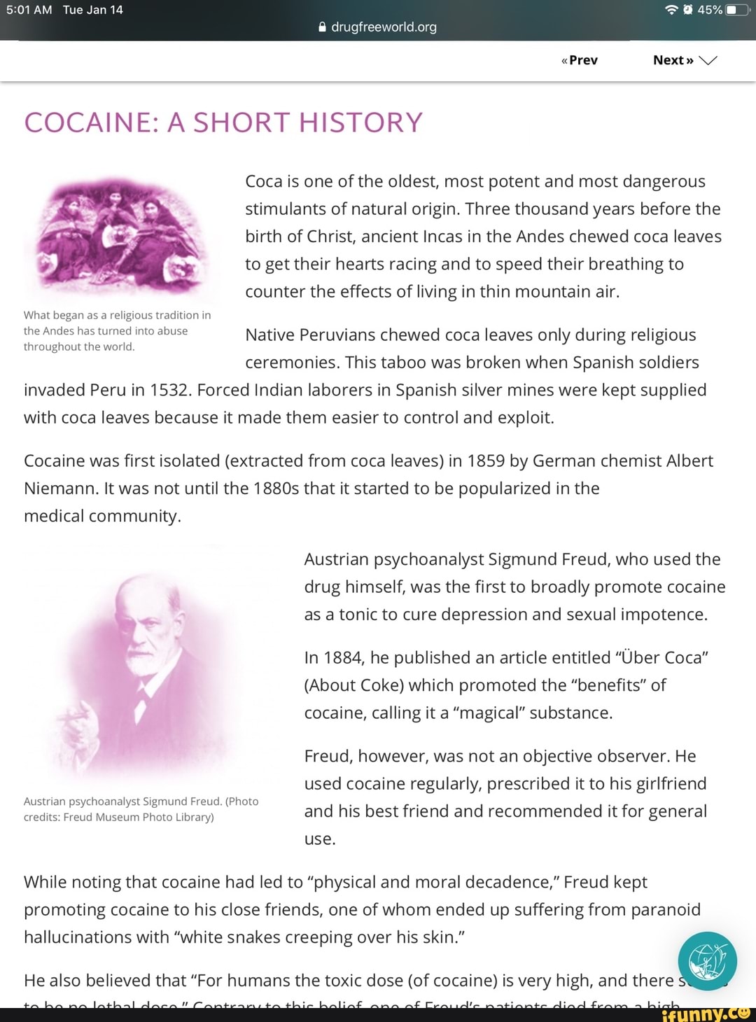 COCAINE: A SHORT HISTORY Coca is one of the oldest, most potent and ...