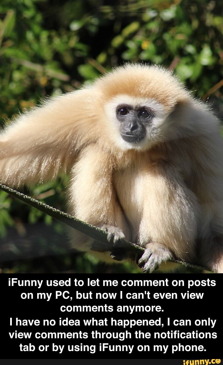 IFunny used to let me comment on posts on my PC, but now I can't even ...