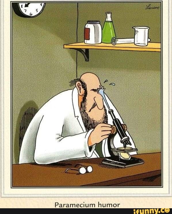 Paramecium memes. Best Collection of funny Paramecium pictures on iFunny