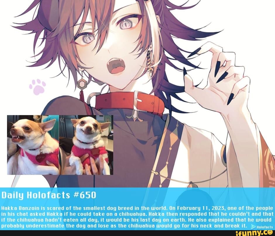 Hakka memes. Best Collection of funny Hakka pictures on iFunny