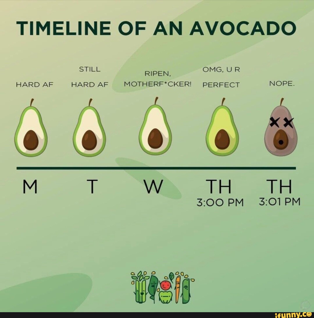 TIMELINE OF AN AVOCADO STILL RIPEN. OMG. UR HARD AF HARD AF ER! PERFECT ...