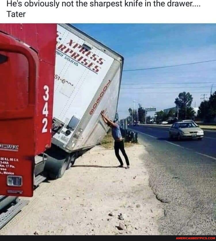 Hes obviously not the sharpest knife in the drawer... Tater - America’s ...