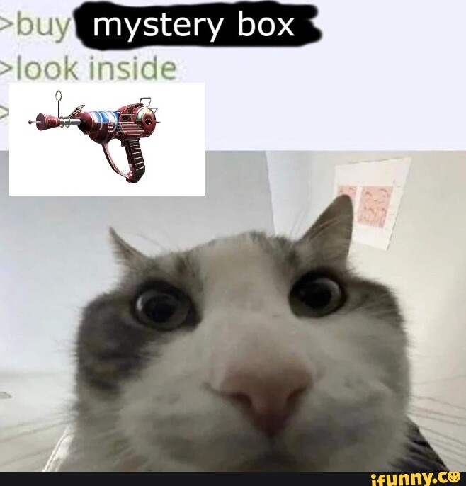 Mystery box >look inside - iFunny