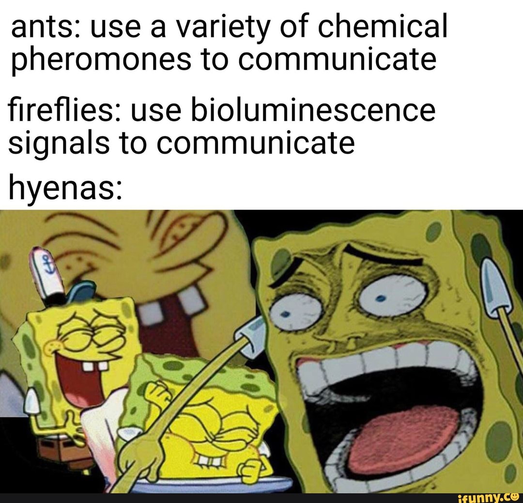 Ants: use a variety of chemical pheromones to communicate fireflies ...