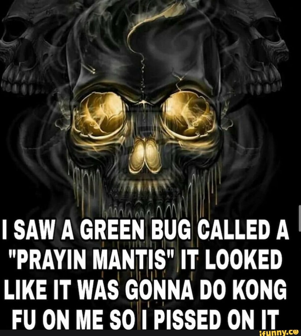 Mantis memes. Best Collection of funny Mantis pictures on iFunny
