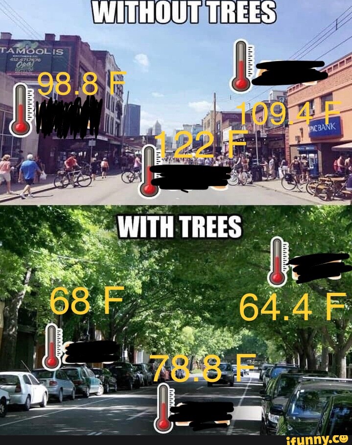 WITHOUT TREES - iFunny
