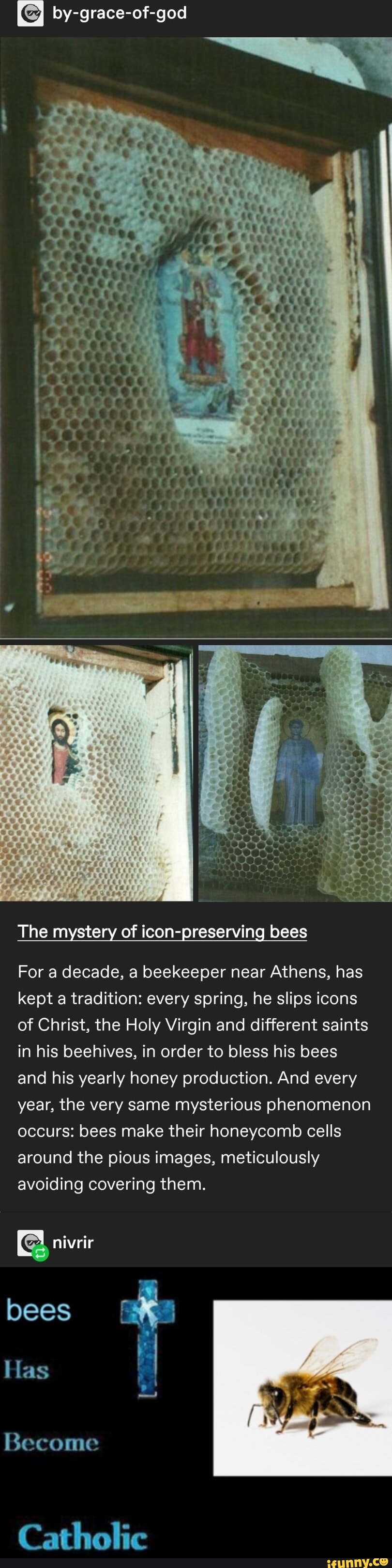 Picture memes V9sZuGjH6 by Awkward_mess_2018: 1 comment - iFunny