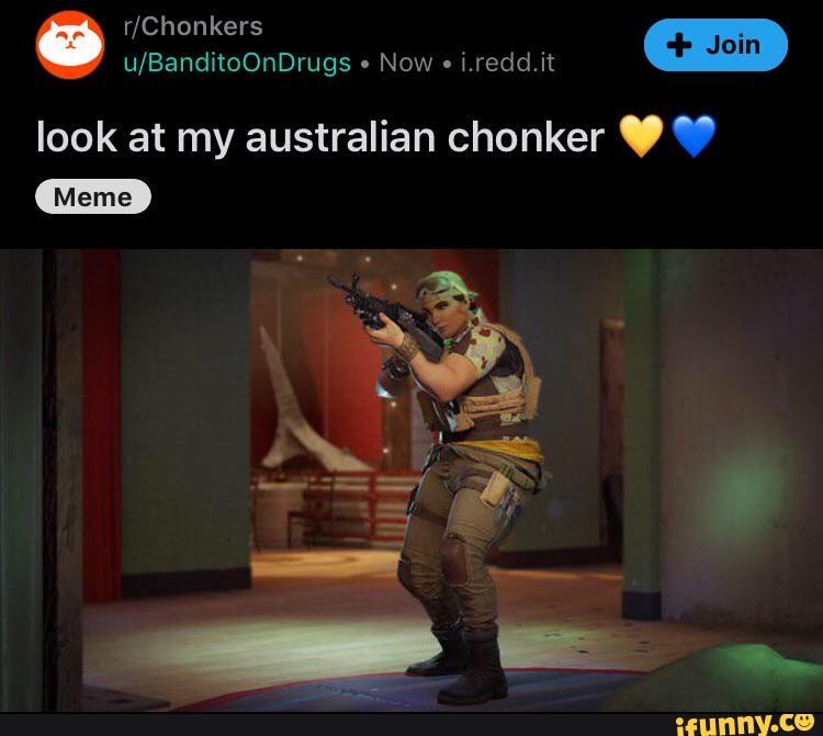 " Now i.redd.it look at my australian chonker Meme - iFunny